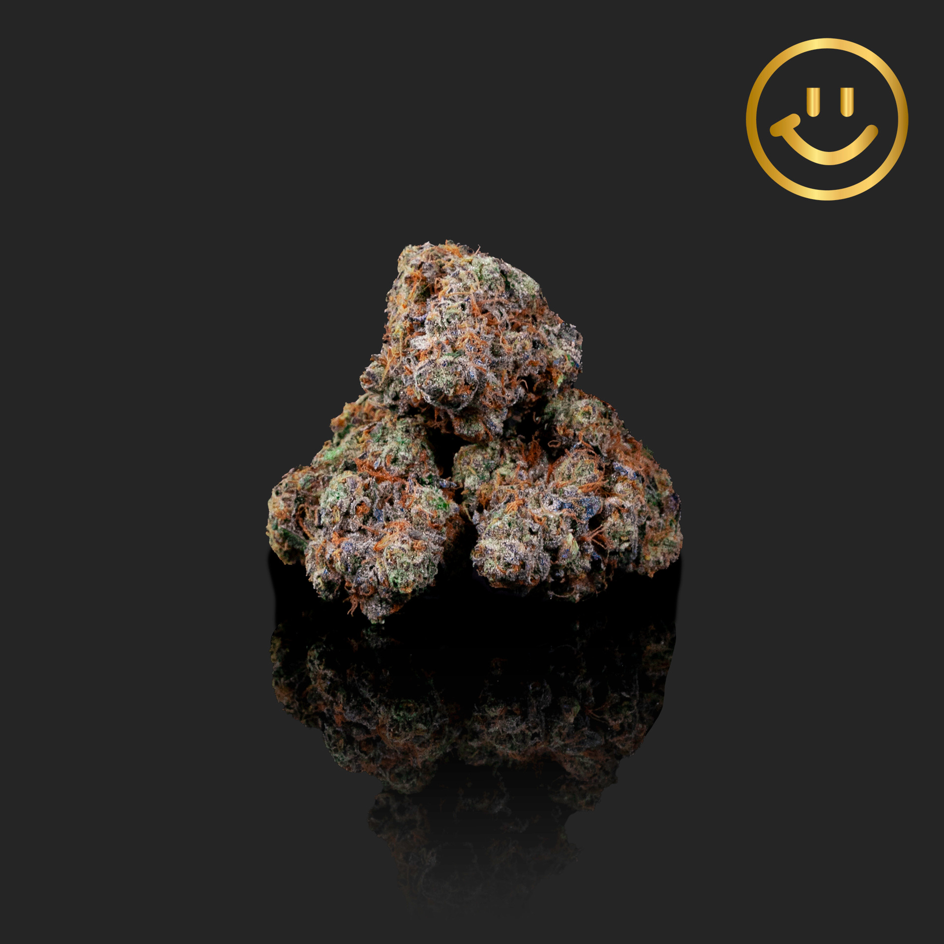 Coastal Cultivation | Carbon Candy | indoor flower - Potm...