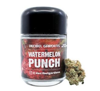 *3.5g Watermelon Punch (Indoor) - Decibel Gardens - Sacra...