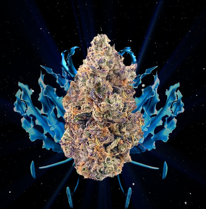 CREAM OF THE CROP: Sunset Mints - Cannabis Superba Collec...