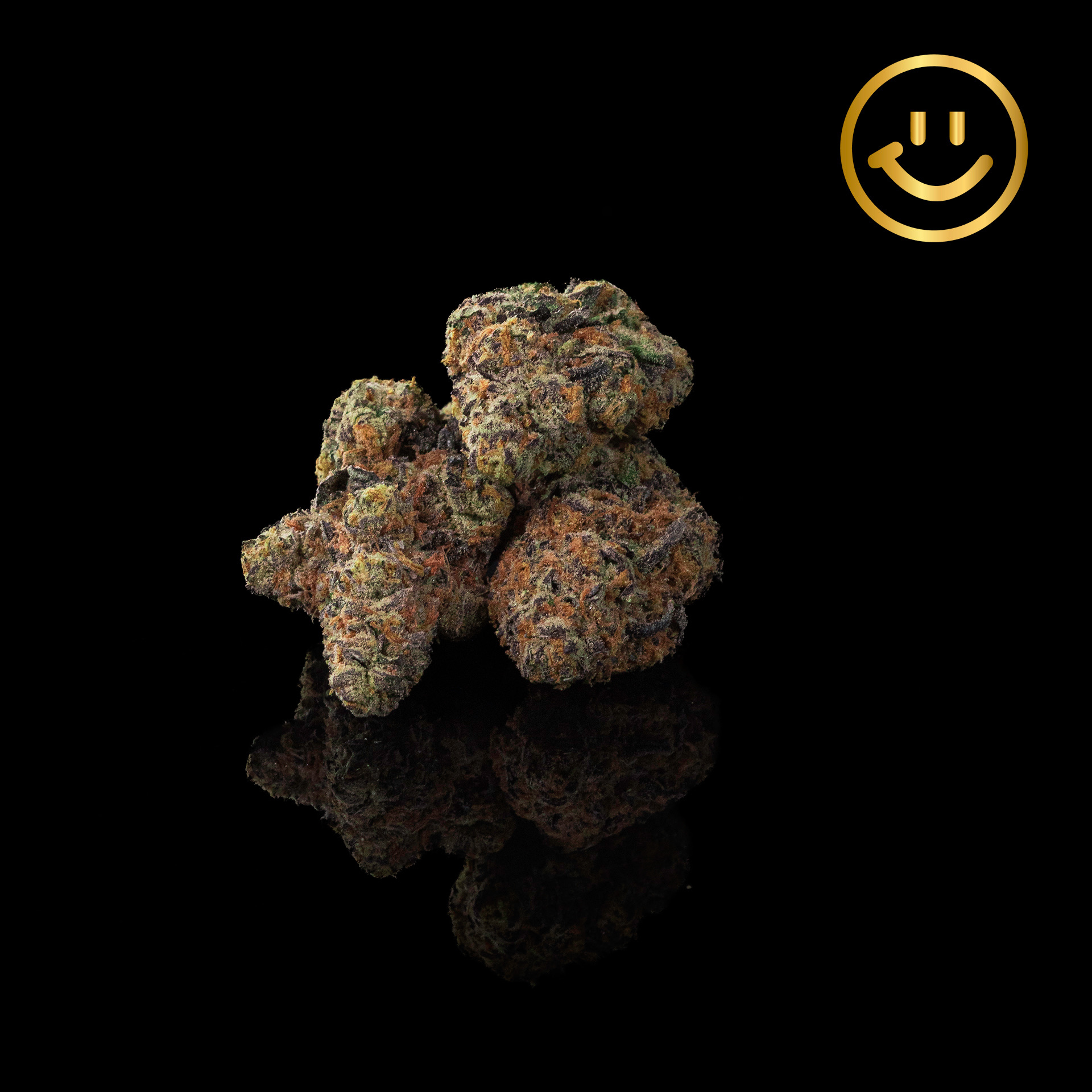 Grown Rogue | Cadillac Rainbow | indoor flower - Potmates...