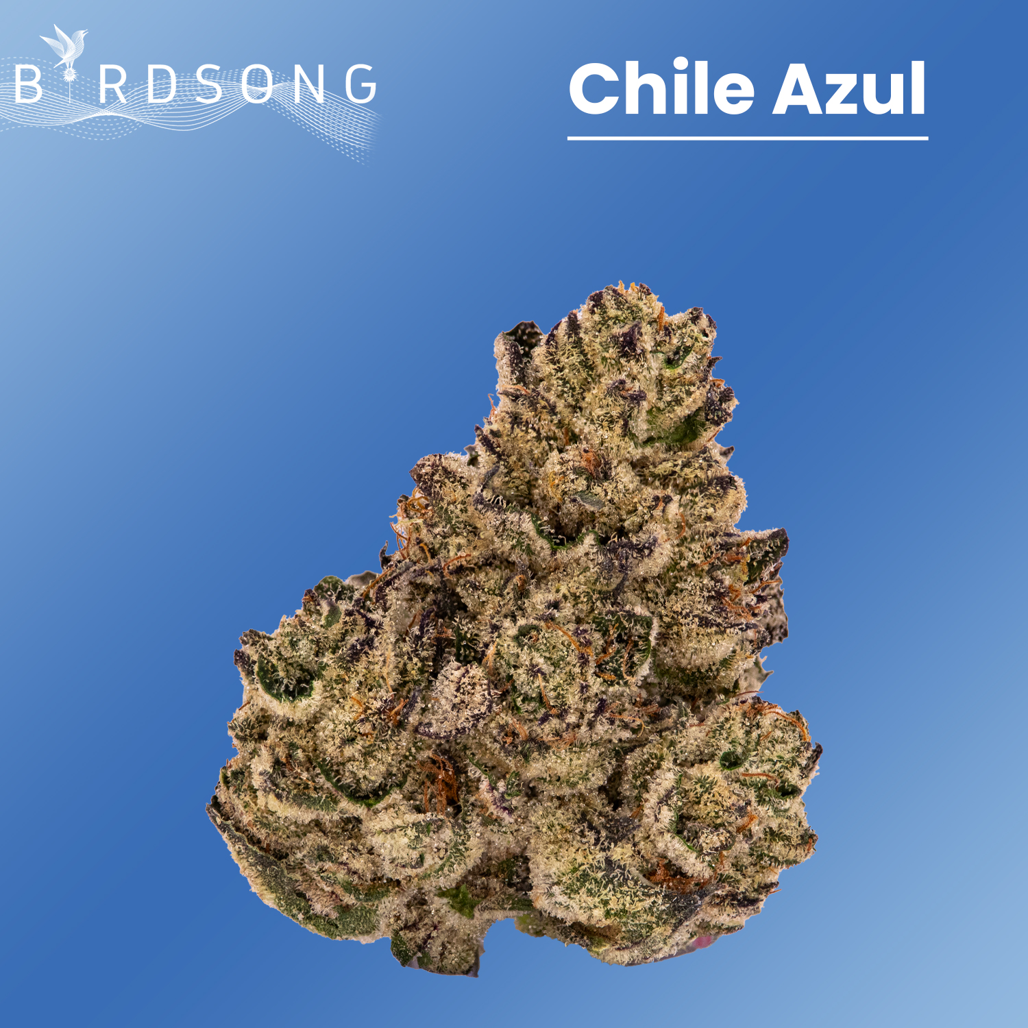 Flower Archives - The Mothership Cannabis Dispensary