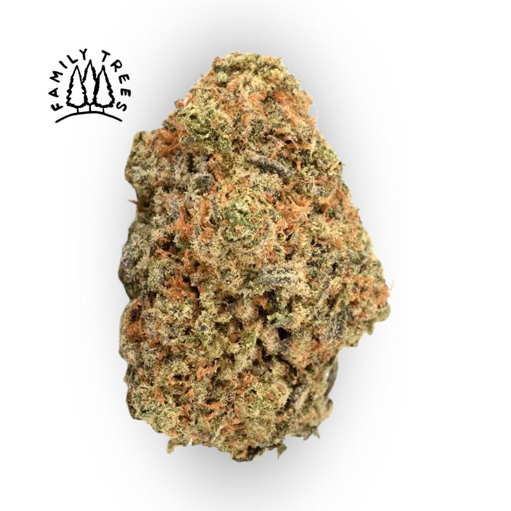 Rainbow Sherbet Bulk Flower - FAMILY TREES - Alma MI Cann...