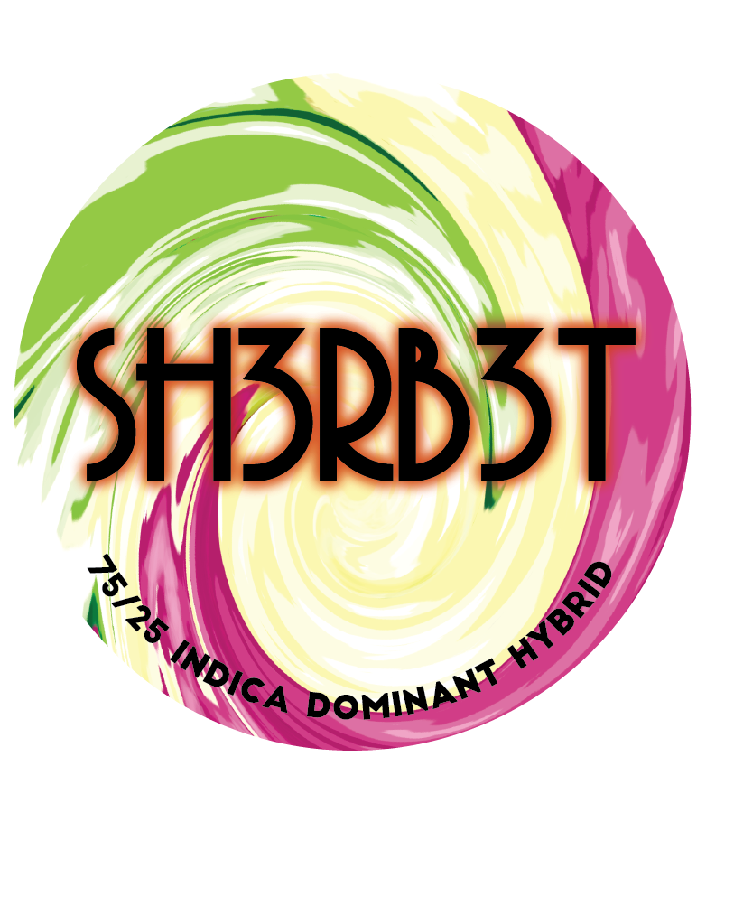 TEAM ELITE GENETICS: Sh3rb3t 3.5g (I/H) - Best Dispensary...