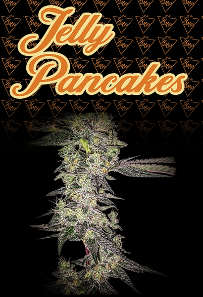 Prerolls | Suncrafted Medical Dispensary | Middleboro, MA