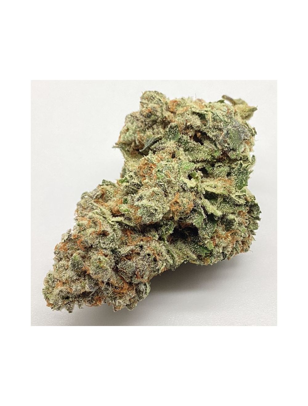 Terp Mansion- Biscotti 3.5g - Norcanna Marijauna - Sacram...