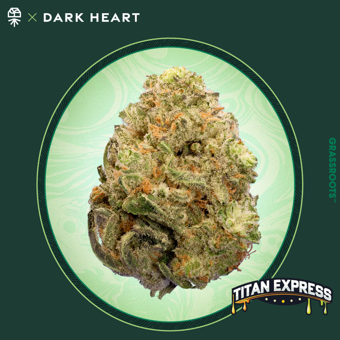 Grassroots | Titan Express | 3.5g - Upstate Canna Co - We...
